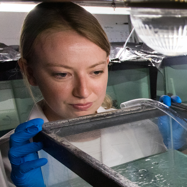 Megan Tomamichel (MSc) - Venturelli Lab